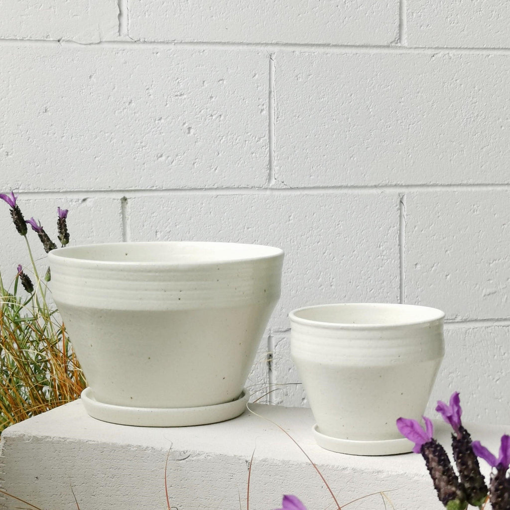 Mini Me | Alison Frith Mini Ridge Planters – THE PLANT SOCIETY