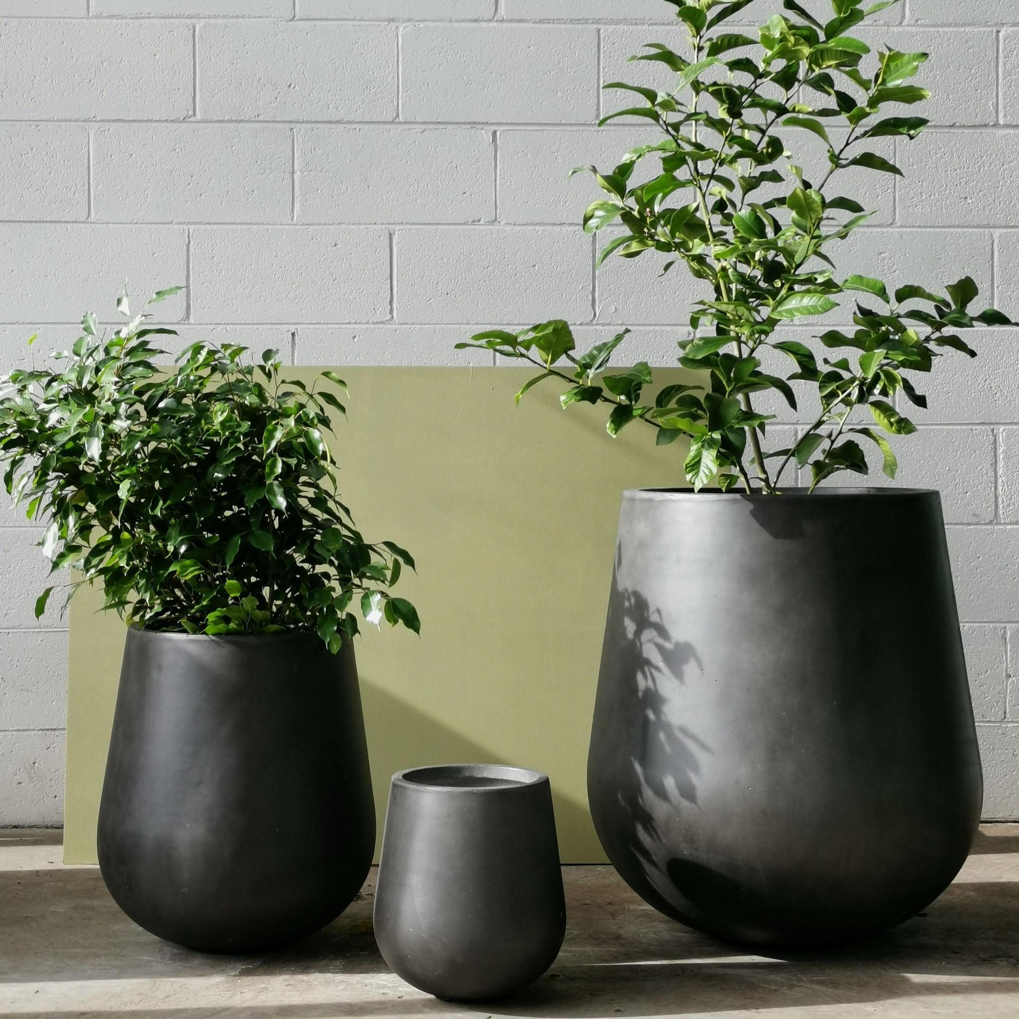 Tear Drop Planter in White | The Plant Society Melbourne - Home and ...