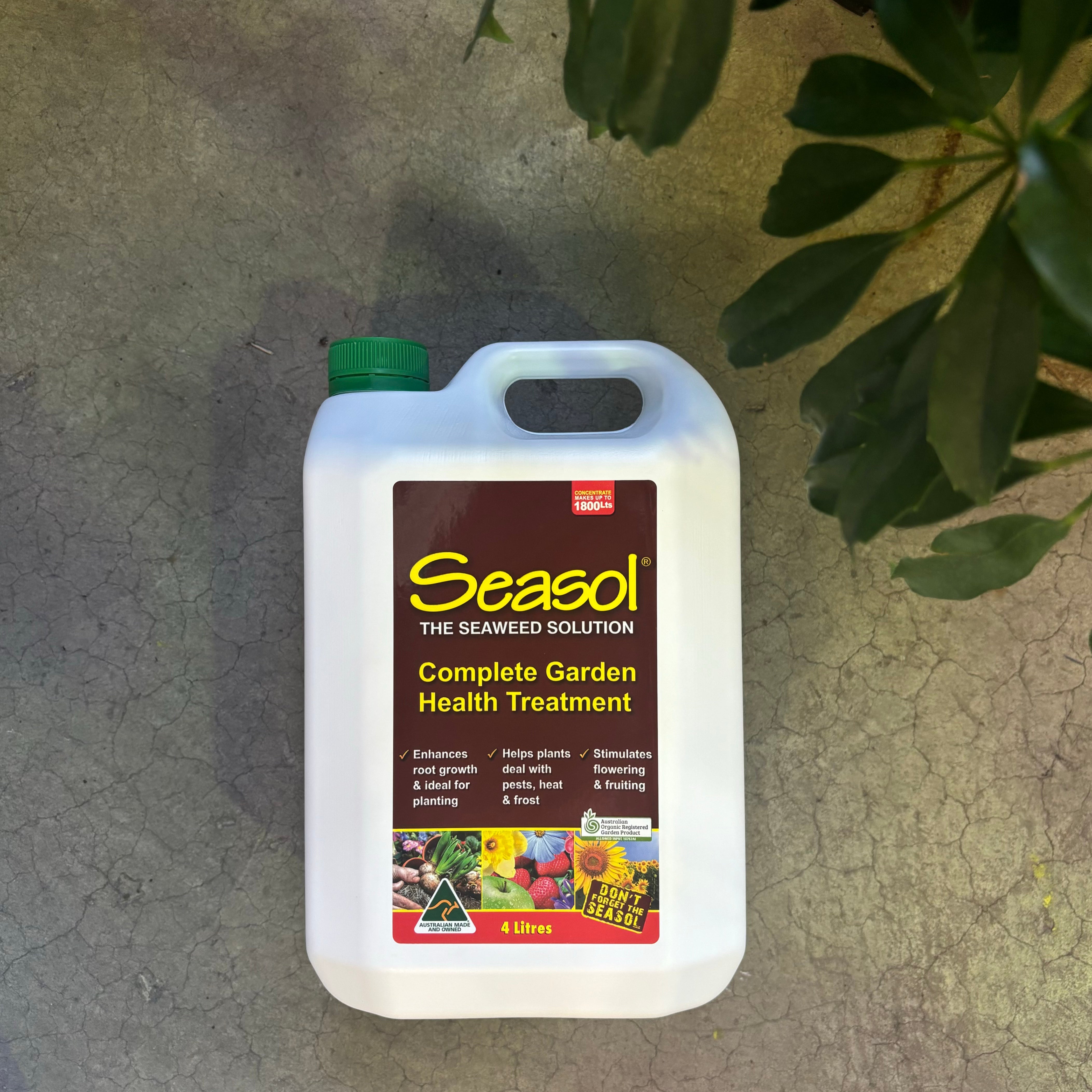 Seasol | The Plant Society I Plant Care I The Plant Society Melbourne ...