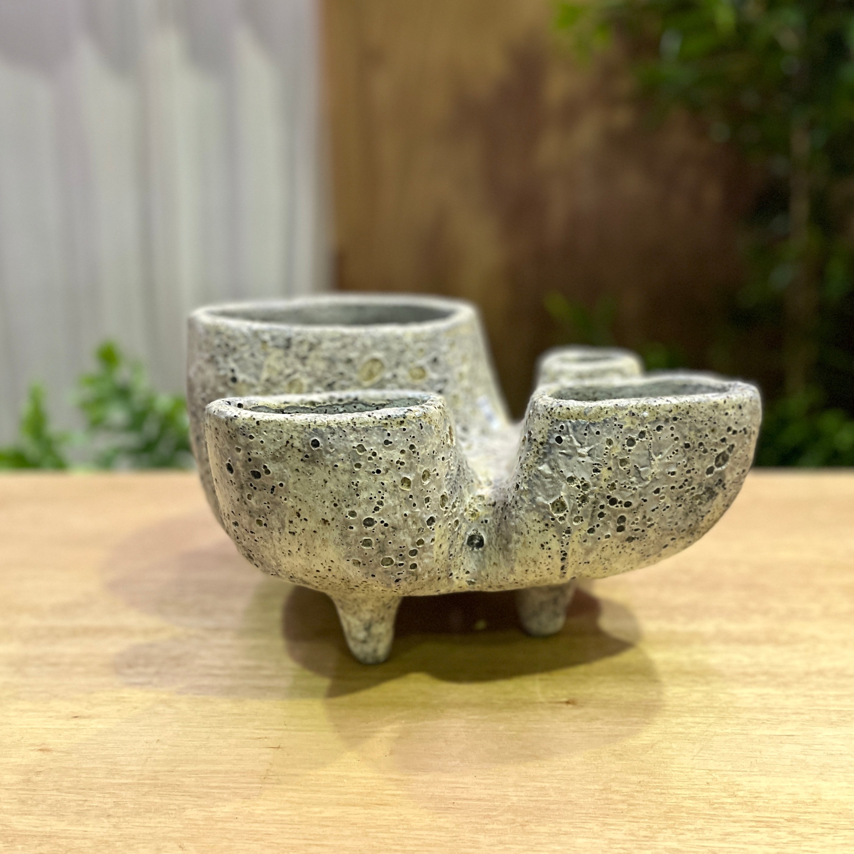 Quad Planter by Buzzby & Fang I The Plant Society Handmade Ceramics