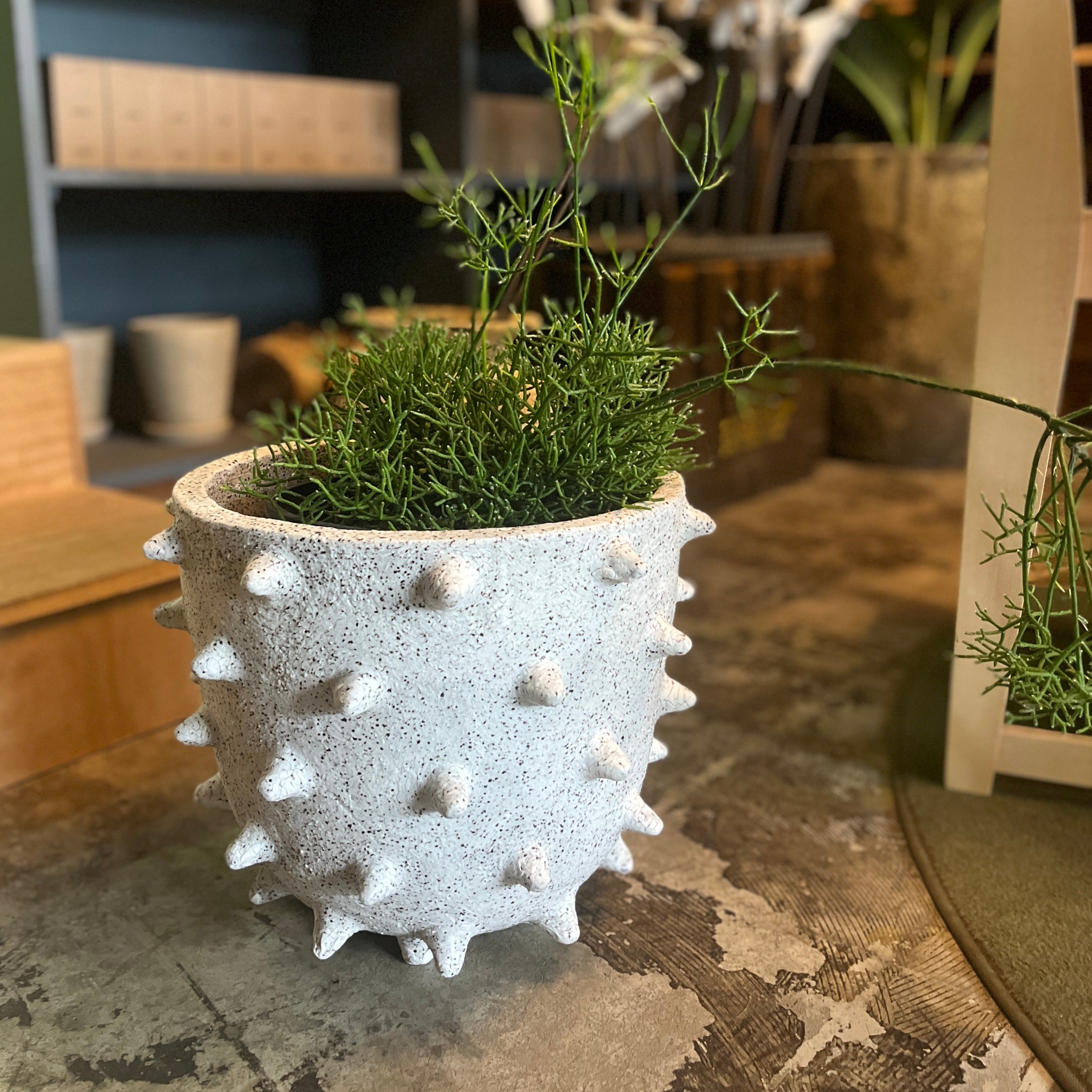 Devasa Spike Planter by Buzzby & Fang I Handmade ceramics & Object I ...