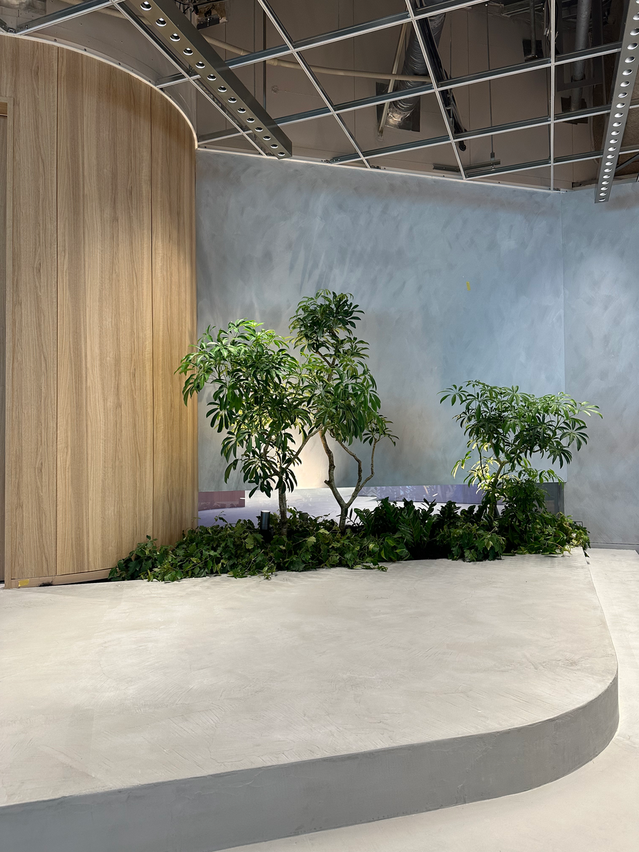 Our Installations – THE PLANT SOCIETY