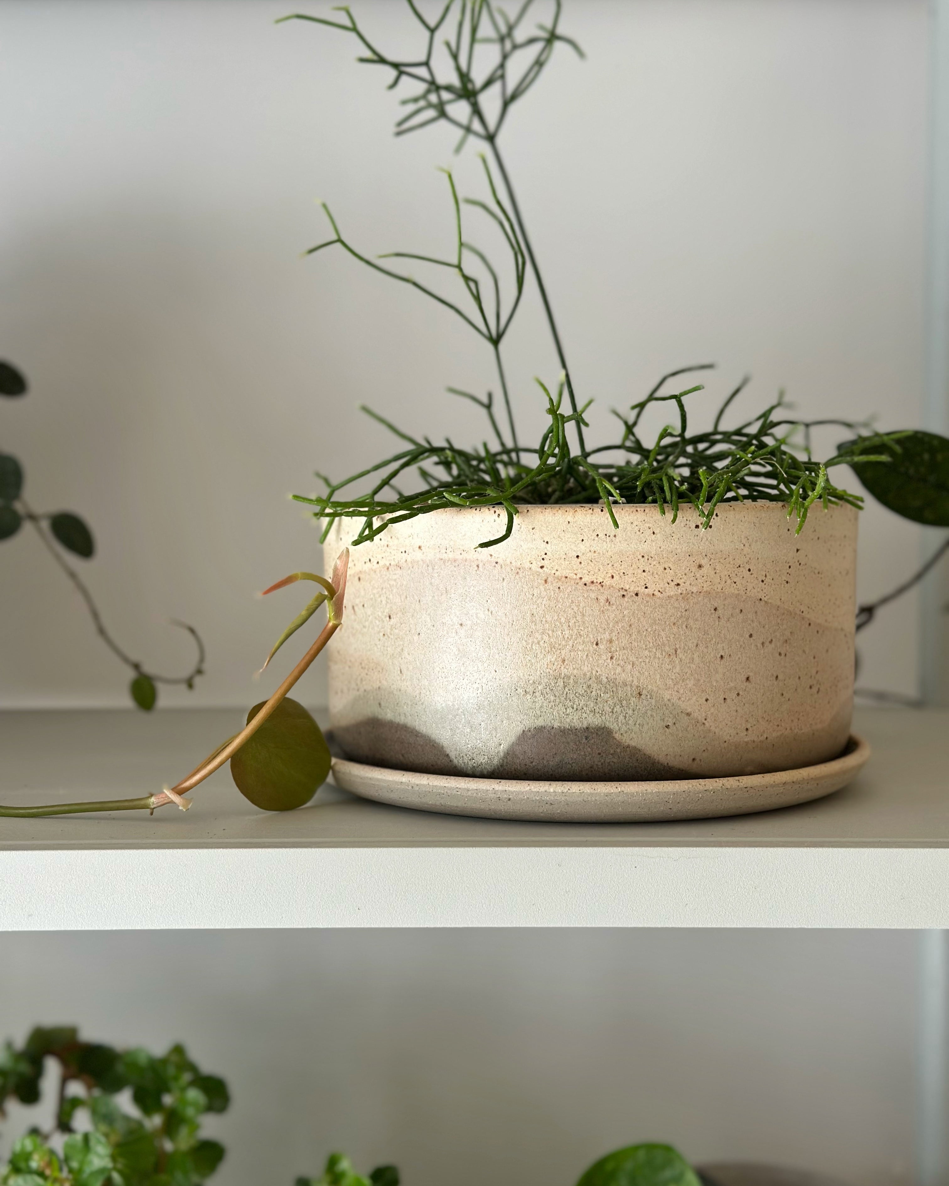 Handmade Ceramic Planters | Planters I The Plant Society Melbourne ...