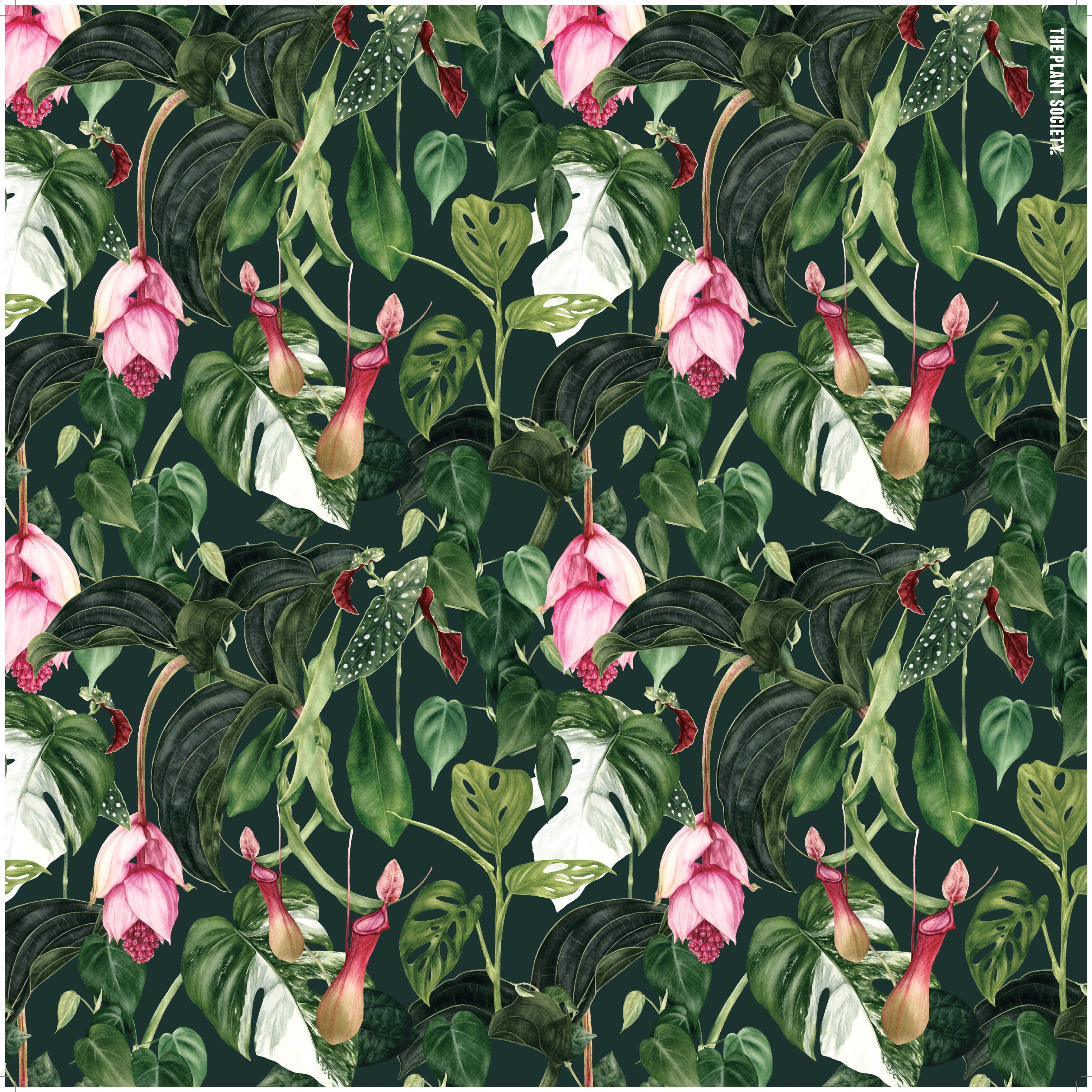 Gifts | The Plant Society - all things green