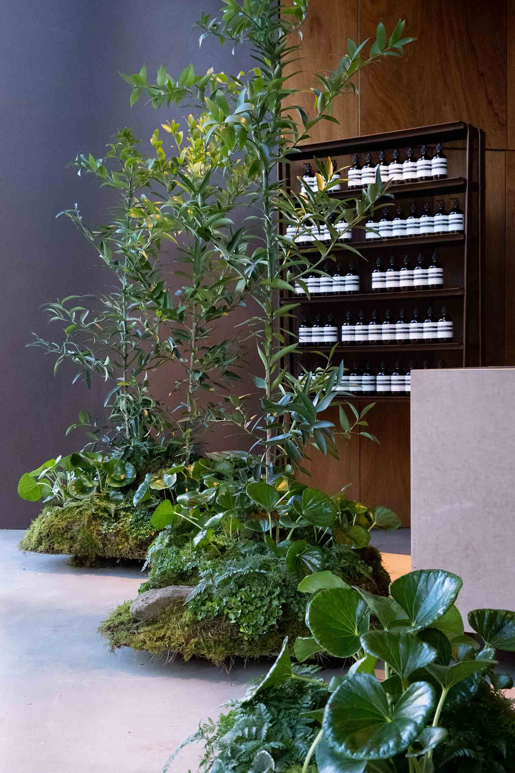 Momento Jug by &Tradition – THE PLANT SOCIETY