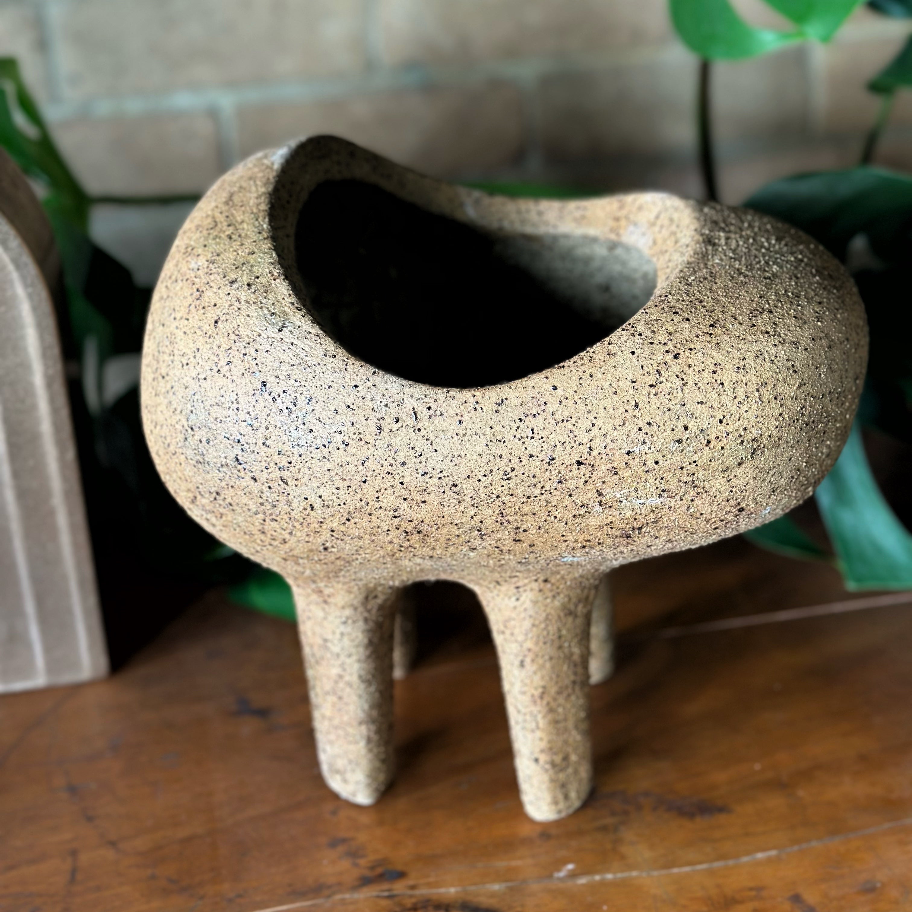 Anima Planter by Buzzby & Fang – THE PLANT SOCIETY