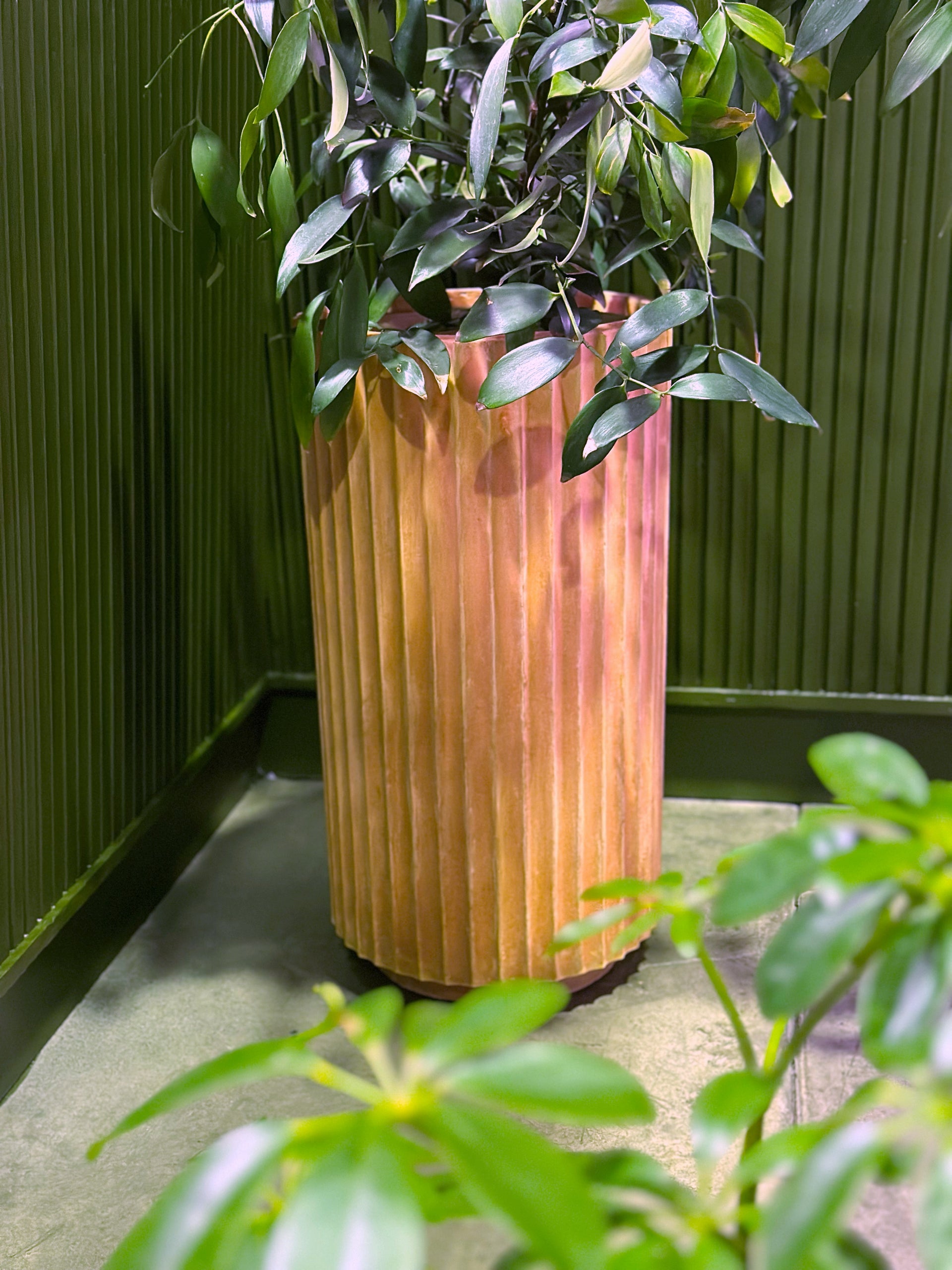 Casablanca Planter in Terracotta – THE PLANT SOCIETY