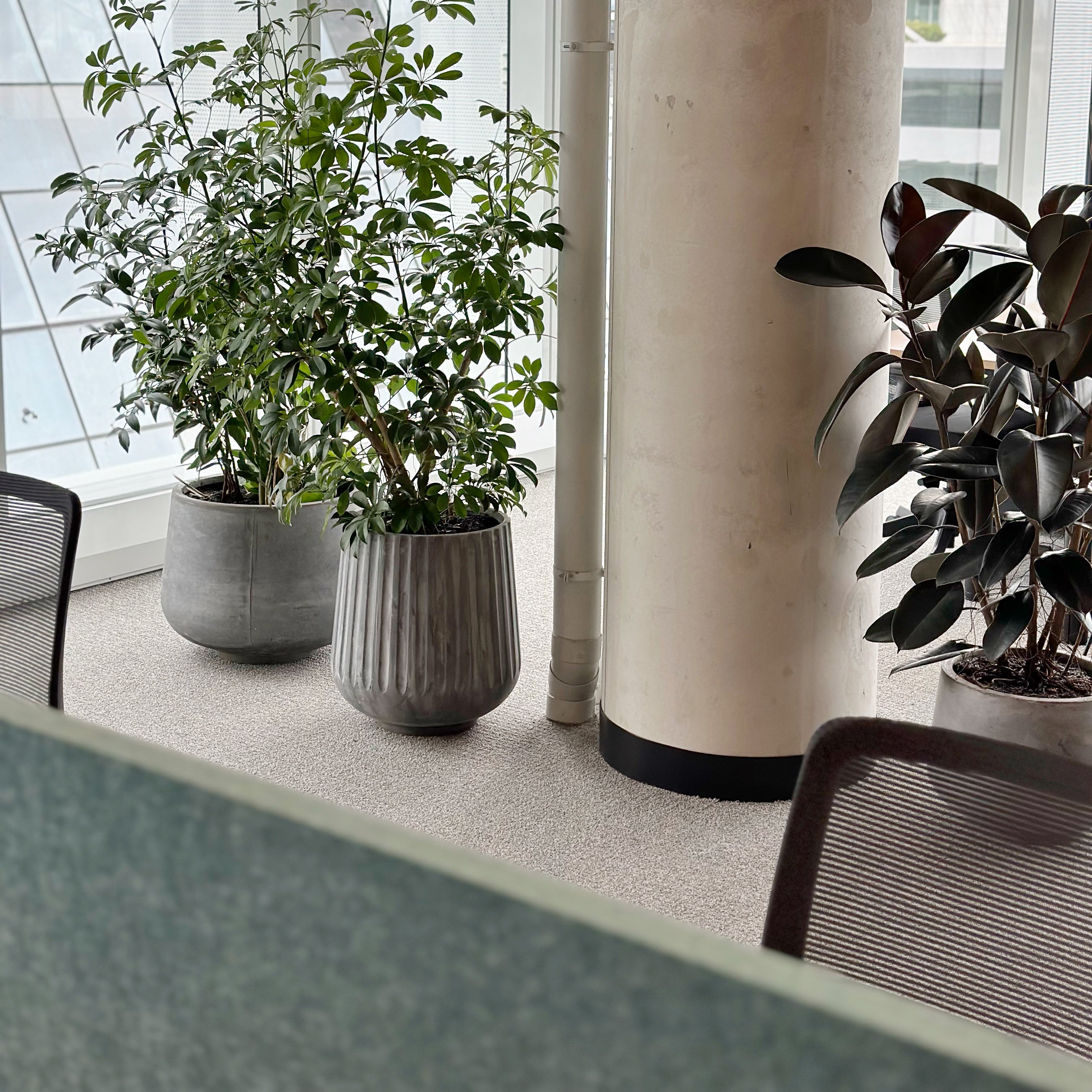 Fluted Curved Tapered Planter in Cement Grey – THE PLANT SOCIETY