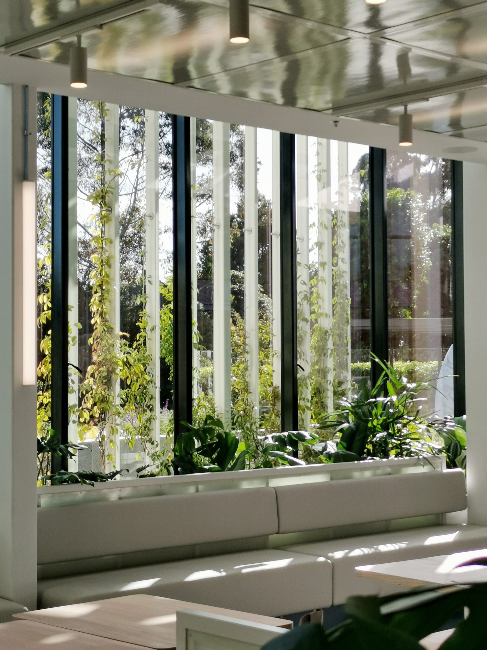 Our Installations – THE PLANT SOCIETY