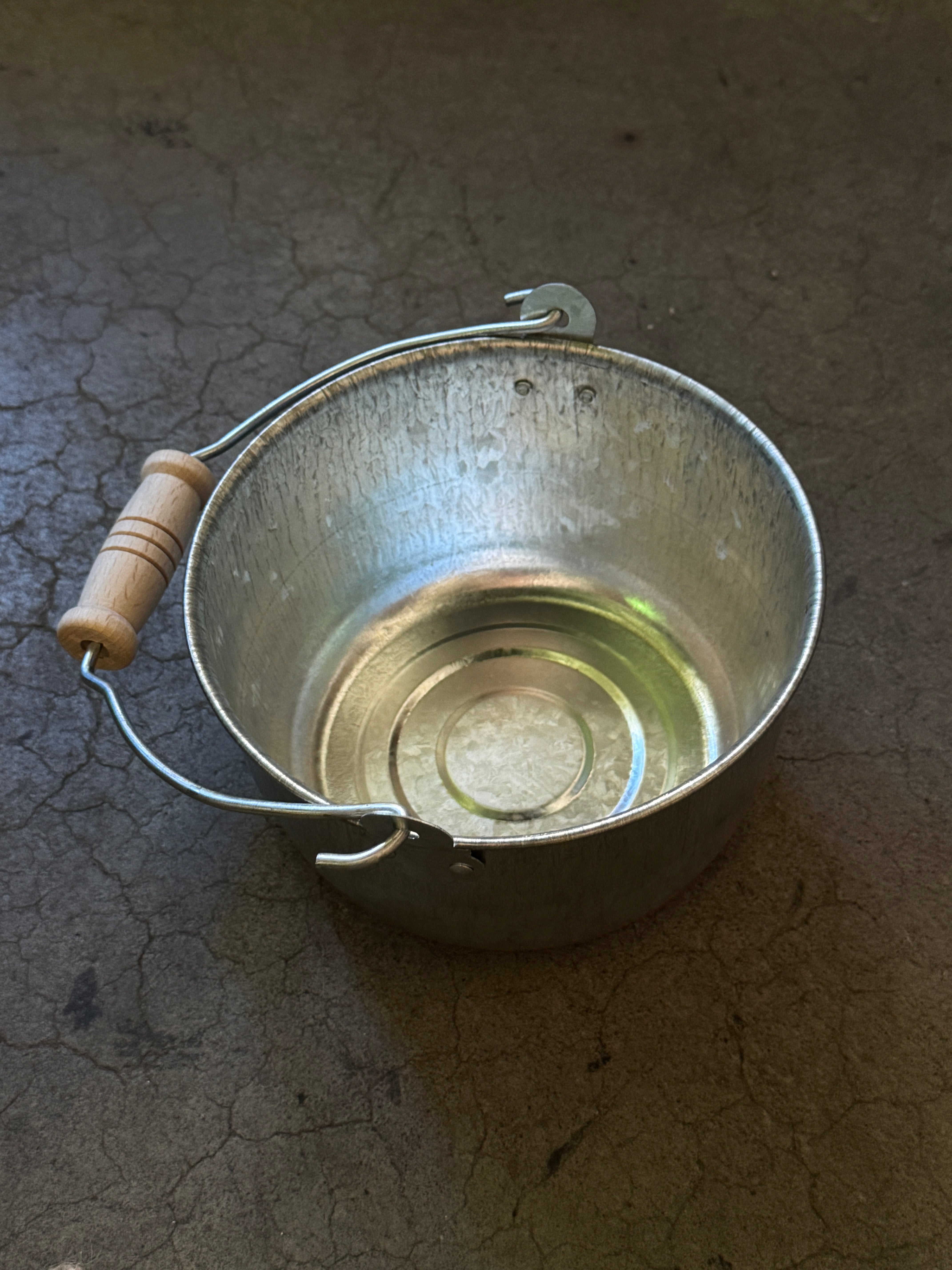 Mame Bucket – THE PLANT SOCIETY