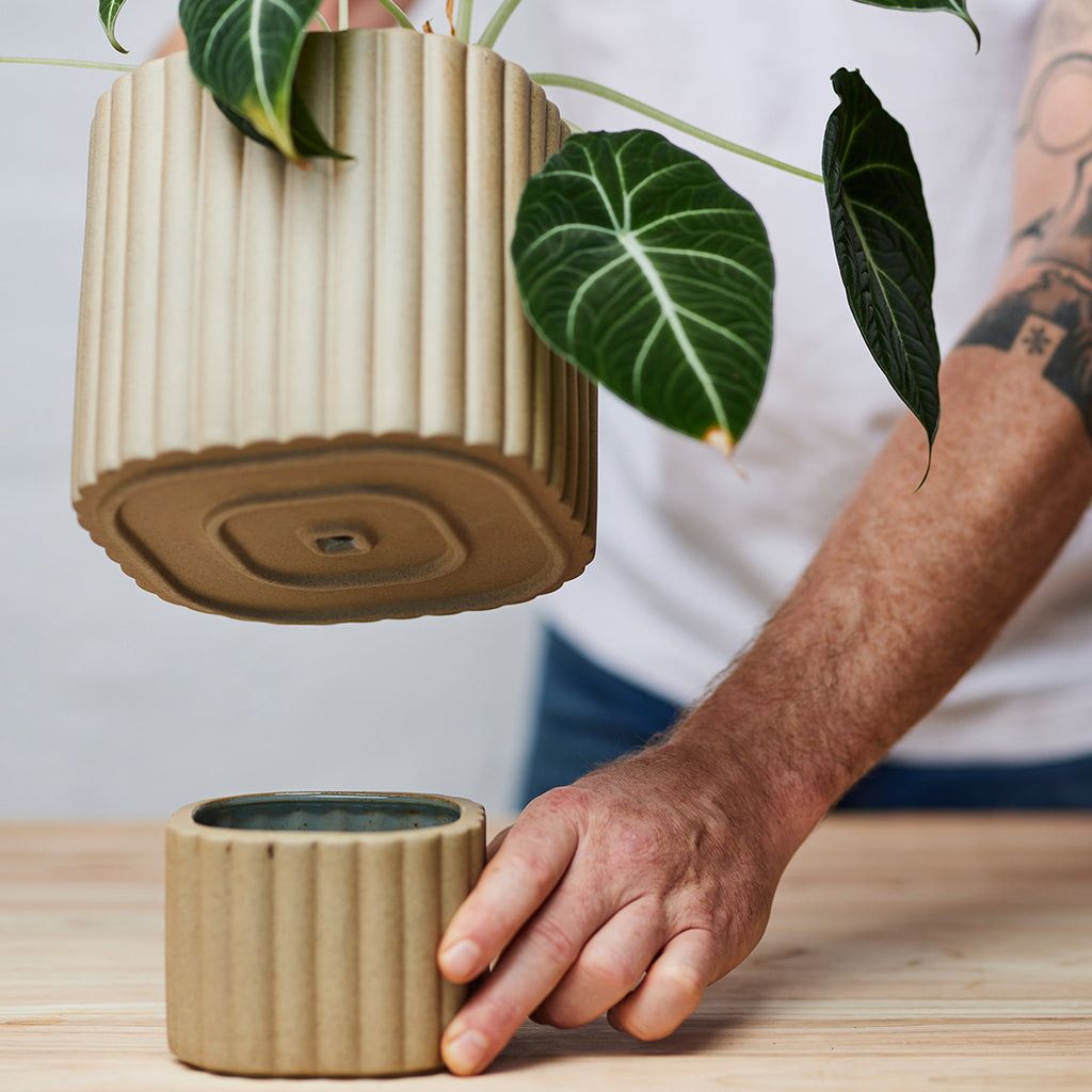 Modular Stack Planter by Angus & Celeste – THE PLANT SOCIETY