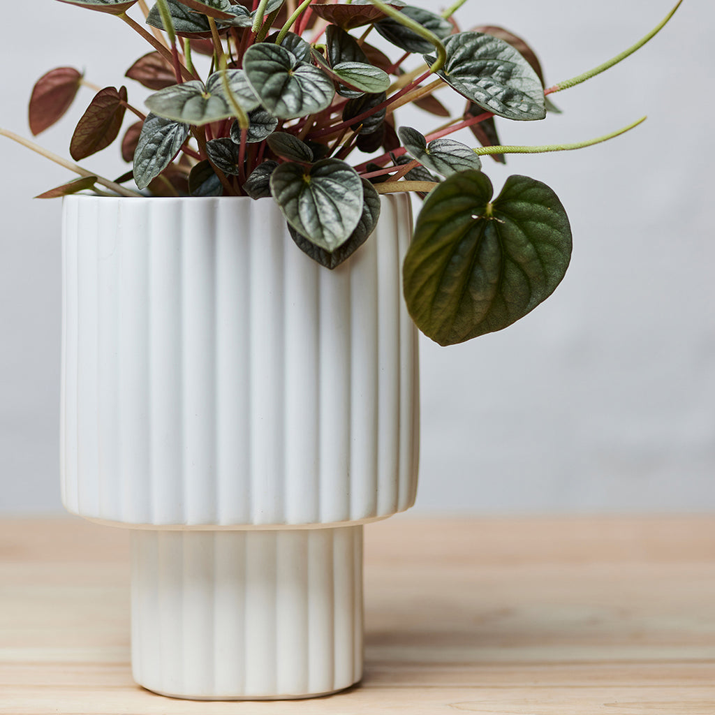 Modular Stack Planter by Angus & Celeste – THE PLANT SOCIETY