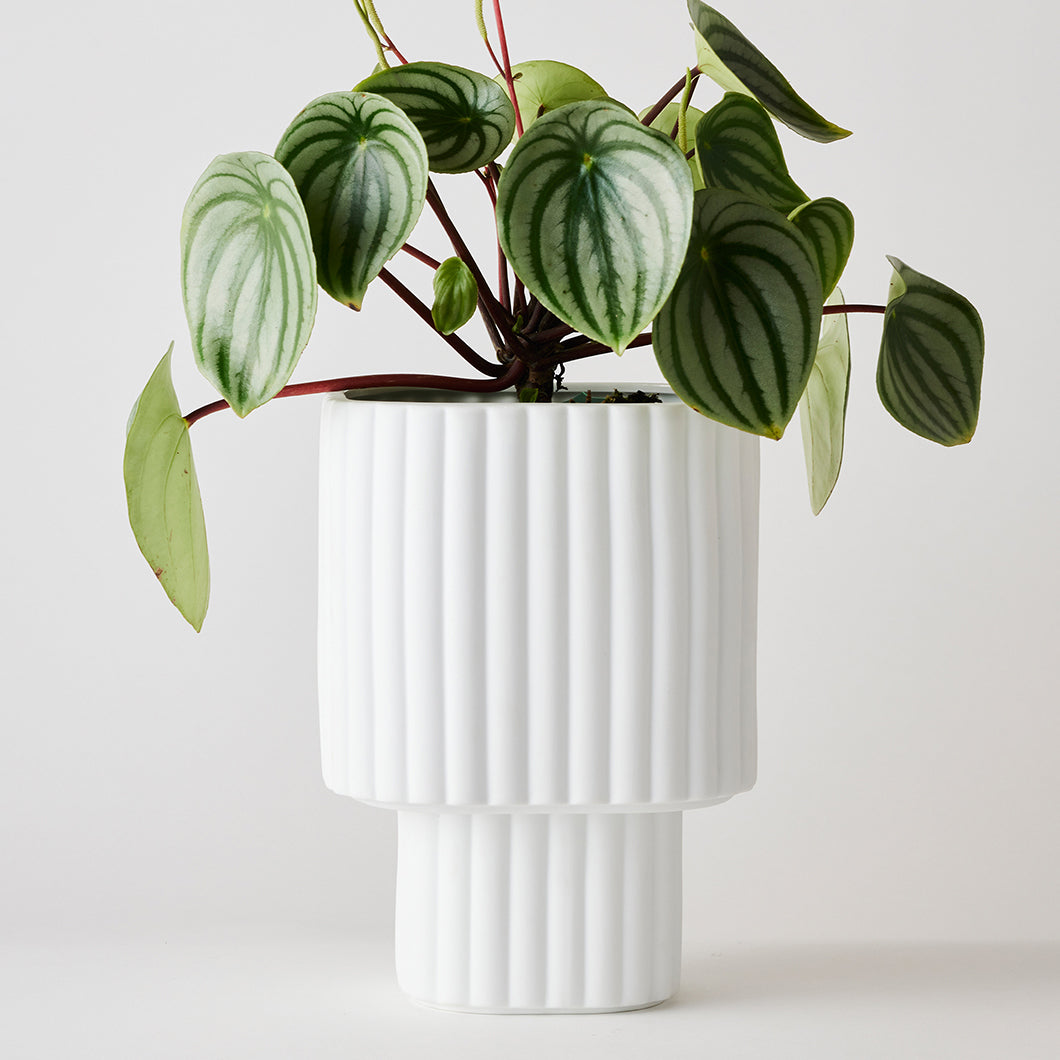 Modular Stack Planter by Angus & Celeste – THE PLANT SOCIETY