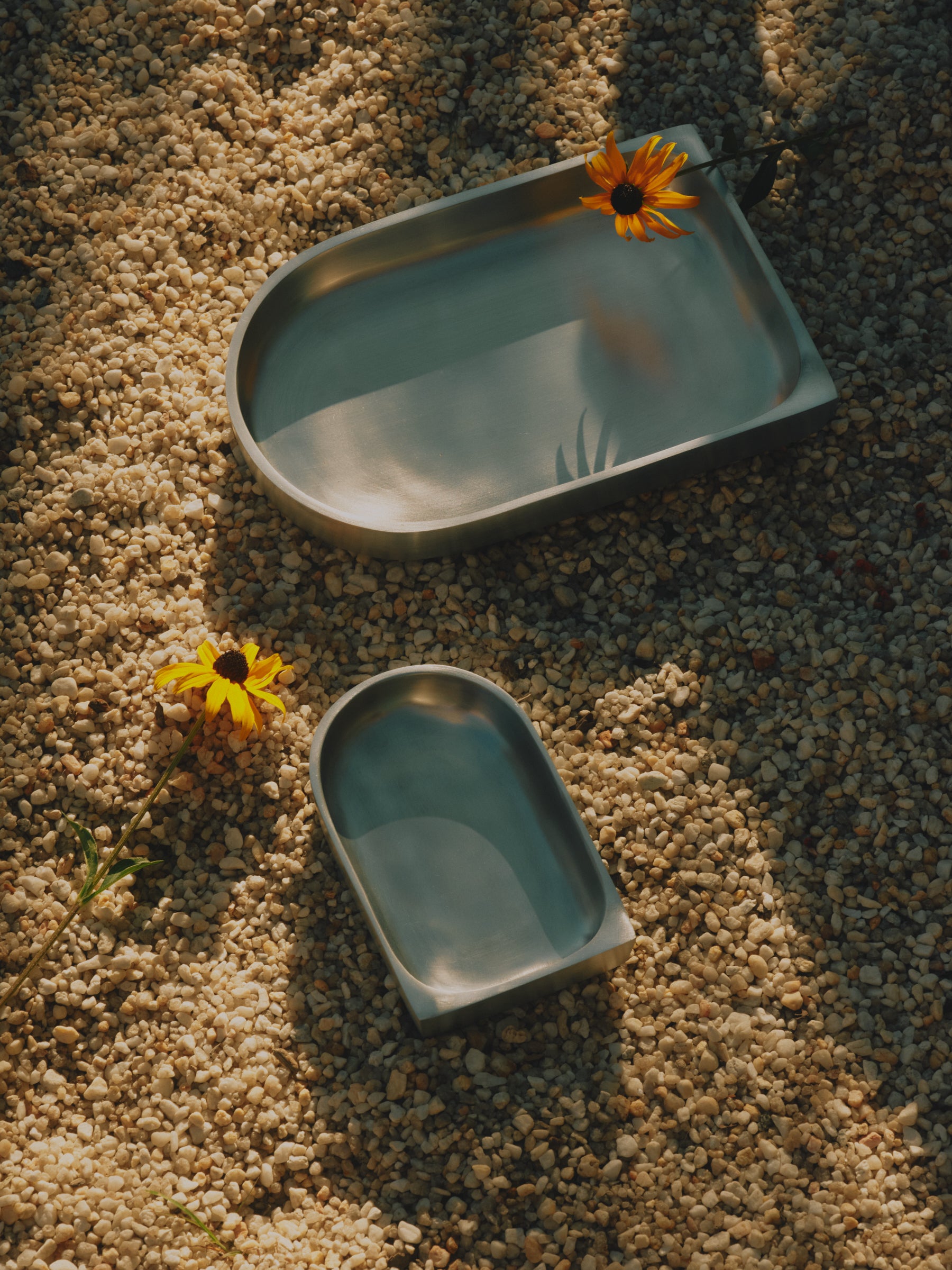 Arc Tray in Cast Aluminium by Lightly – THE PLANT SOCIETY