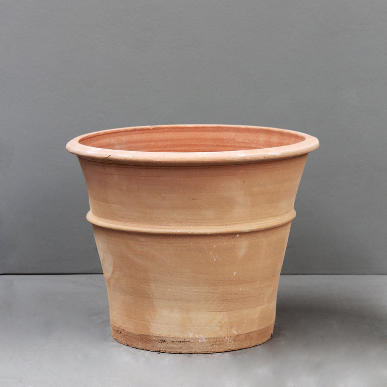 Pisco Planter – THE PLANT SOCIETY
