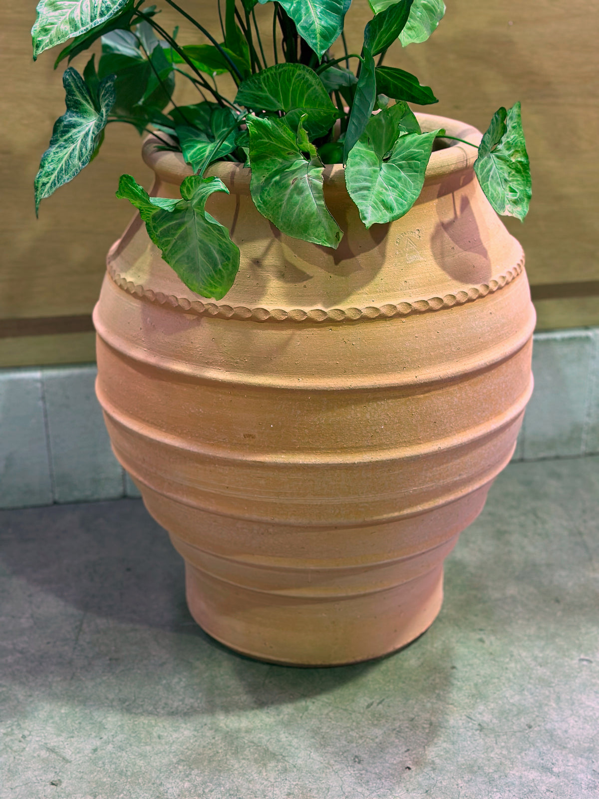 Siena Planter | Terracotta Planter I The Plant Society Melbourne - Home ...