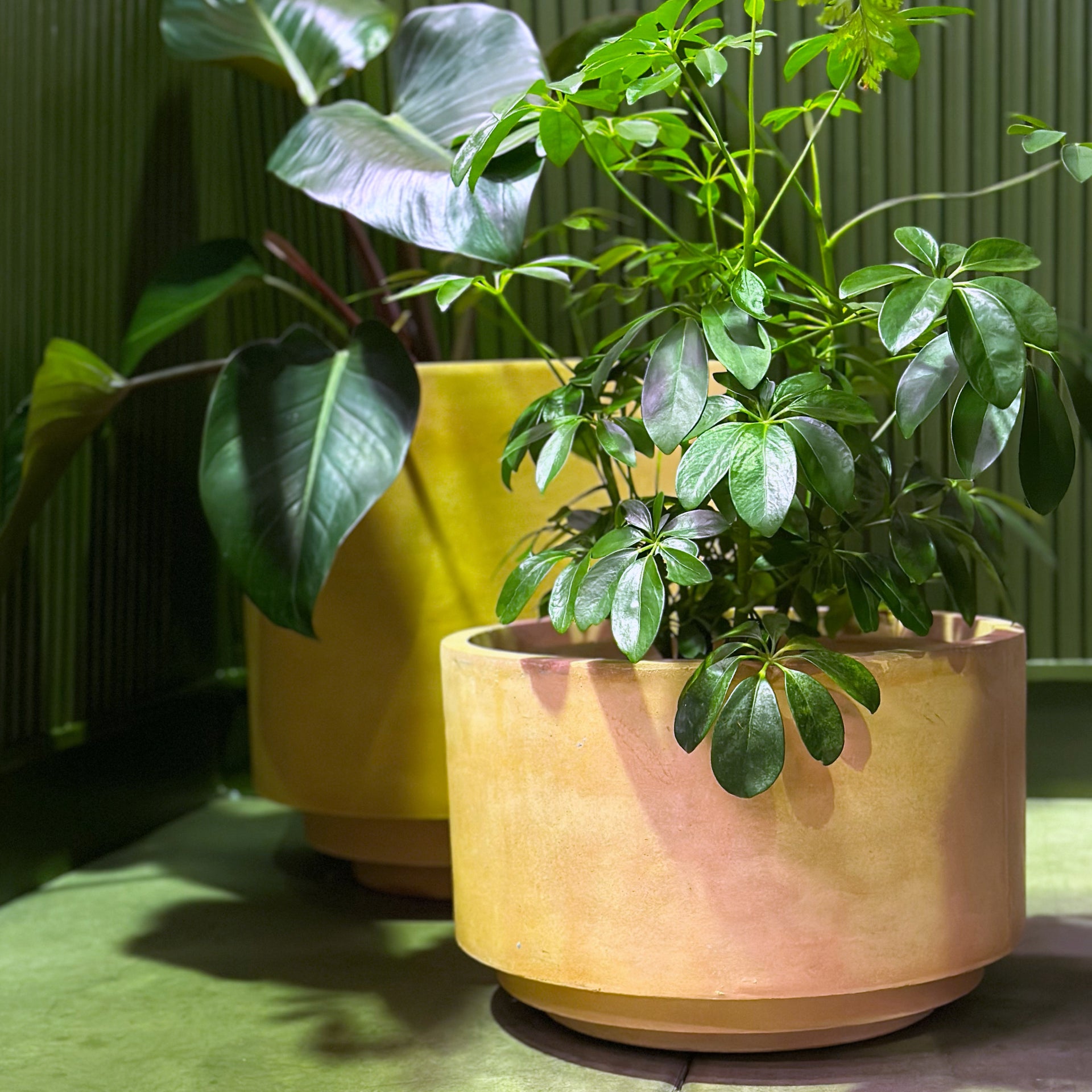 Tangier Planter in Terracotta – THE PLANT SOCIETY