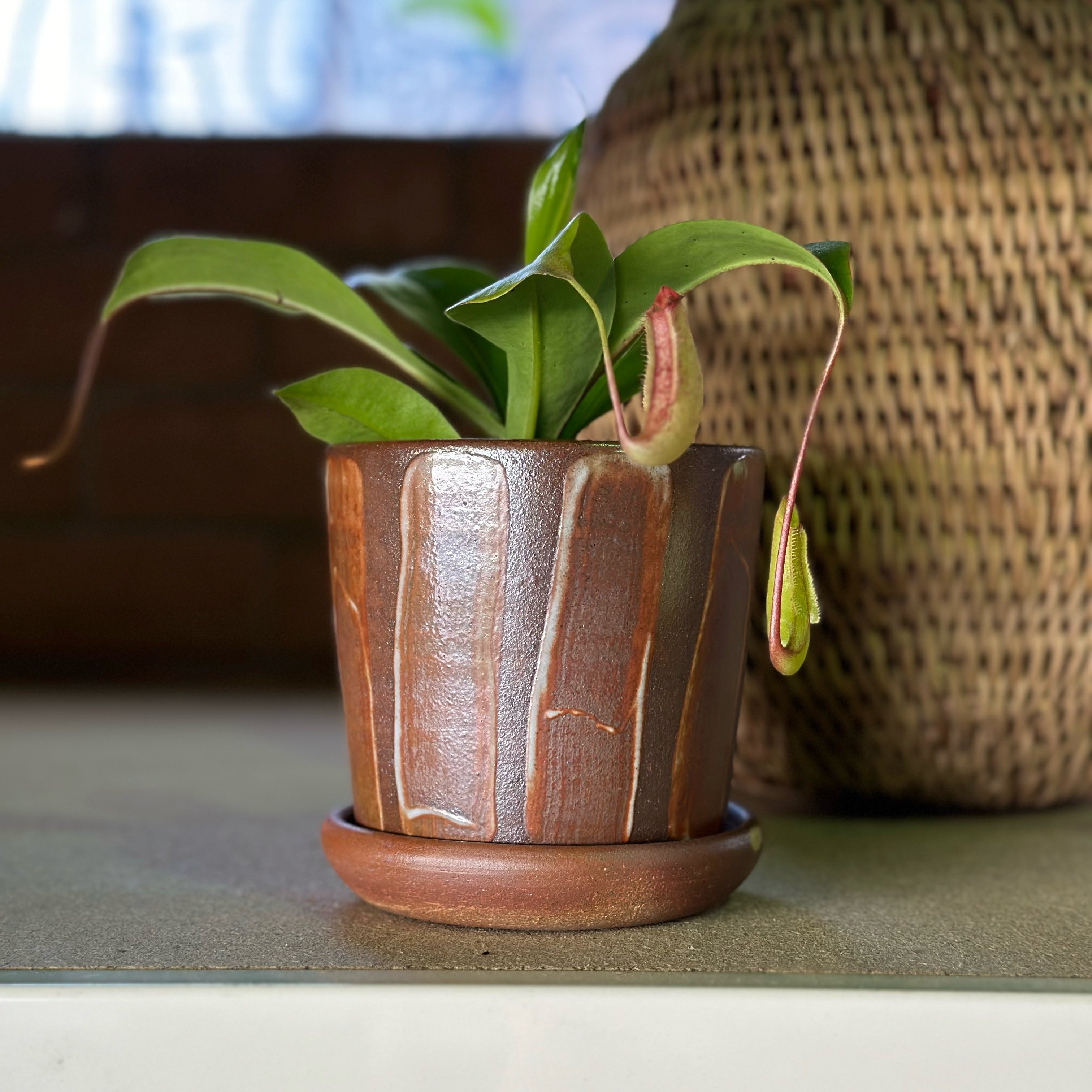 Handmade Ceramic Planters | Planters I The Plant Society Melbourne ...