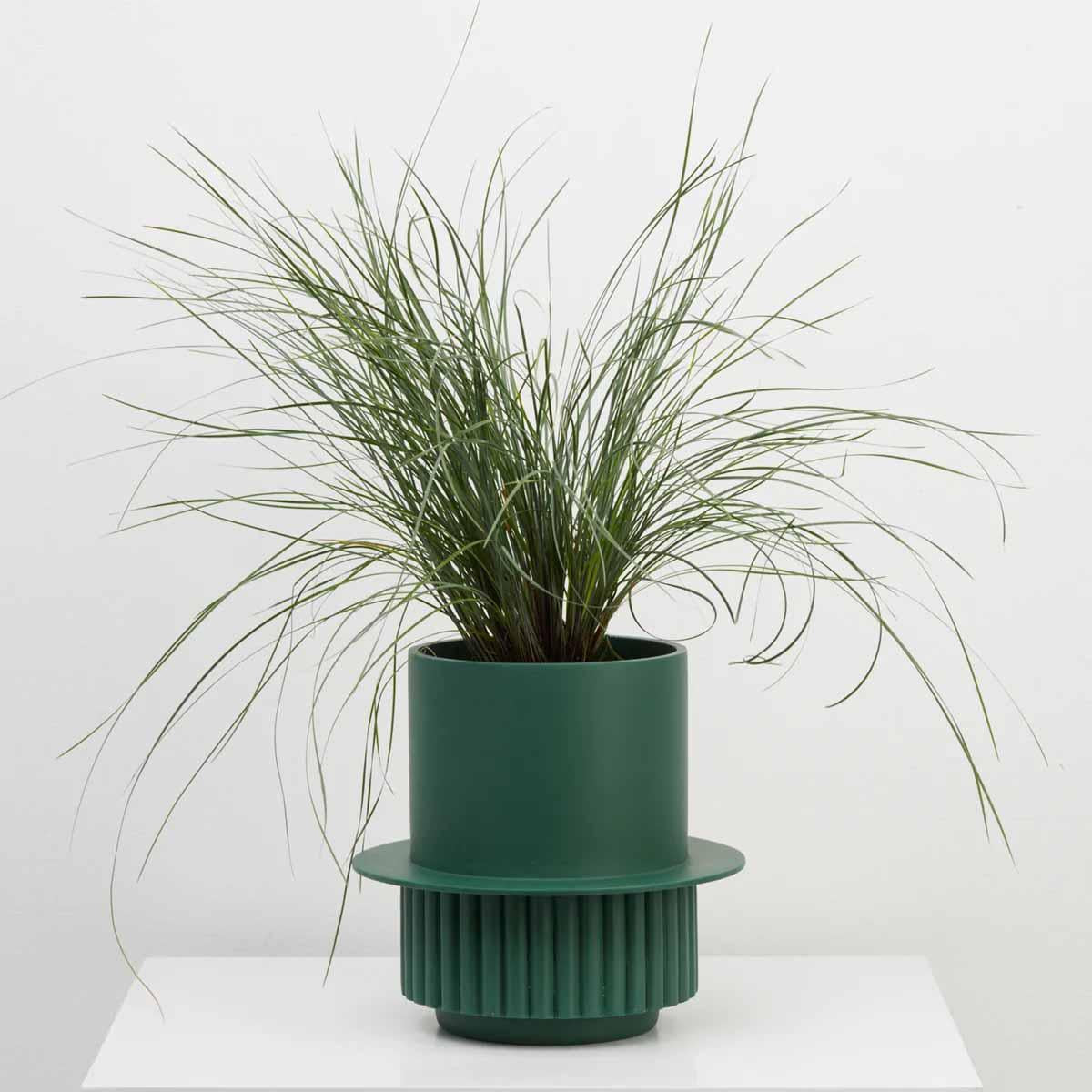 Roma Planter by Capra Designs – THE PLANT SOCIETY