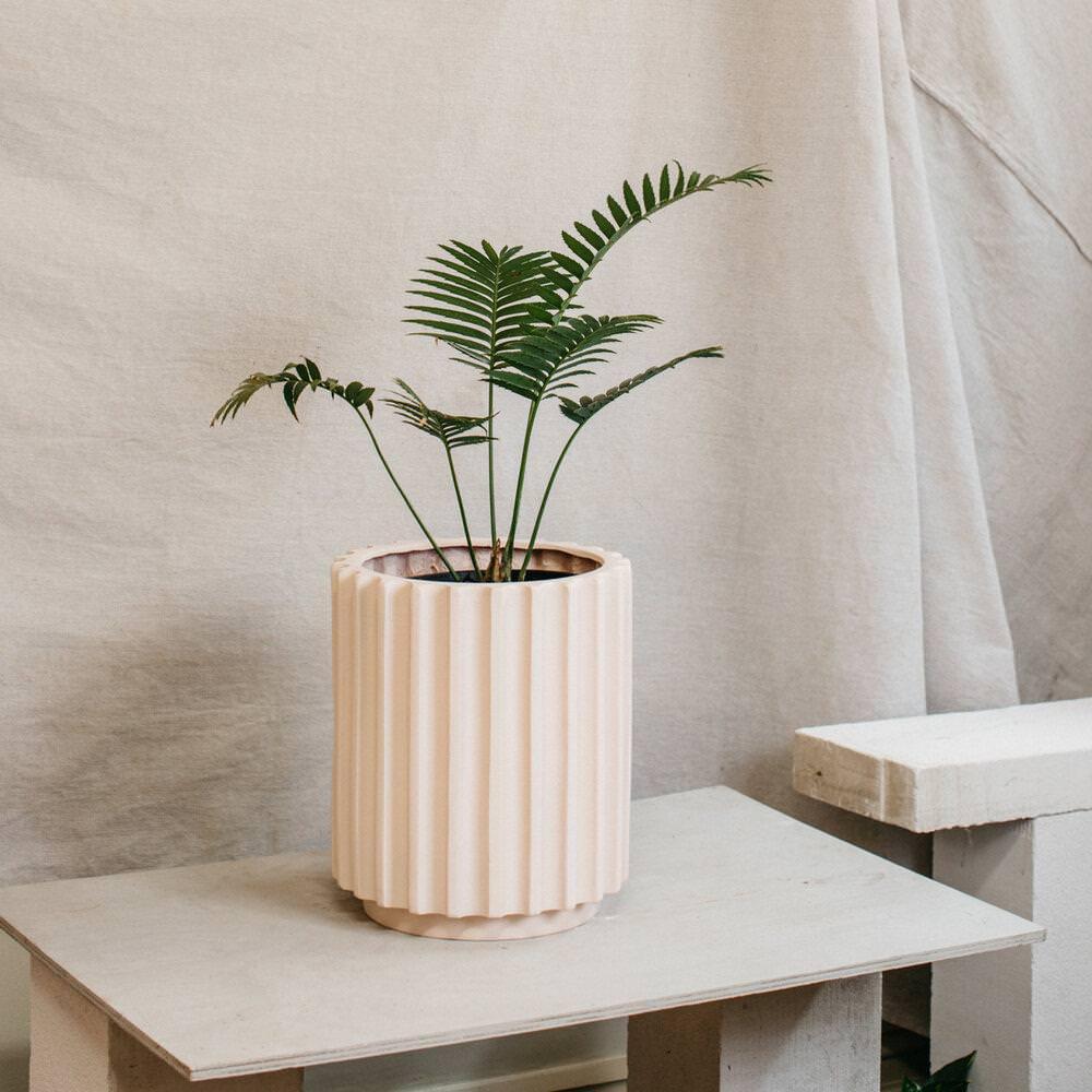 Large Flute Planter by The Plant Society x Capra Designs - Totem ...
