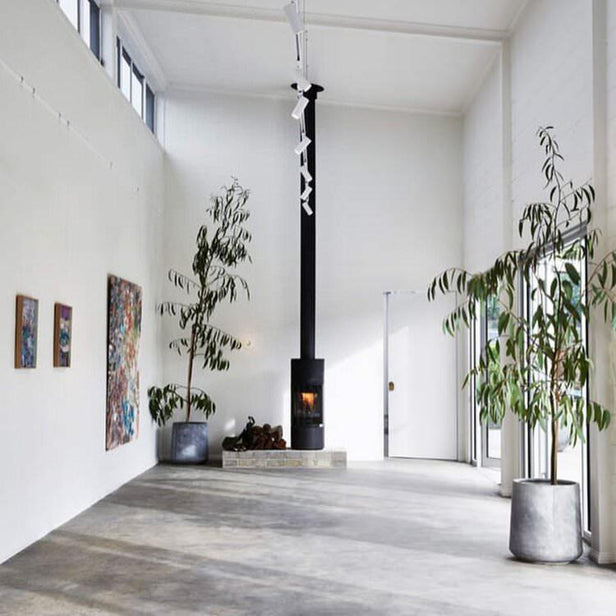 Residential Plant Styling and Curation – THE PLANT SOCIETY