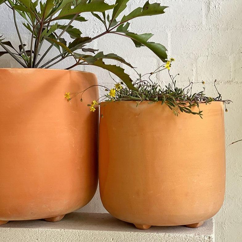Calabria Planter | The Plant Society
