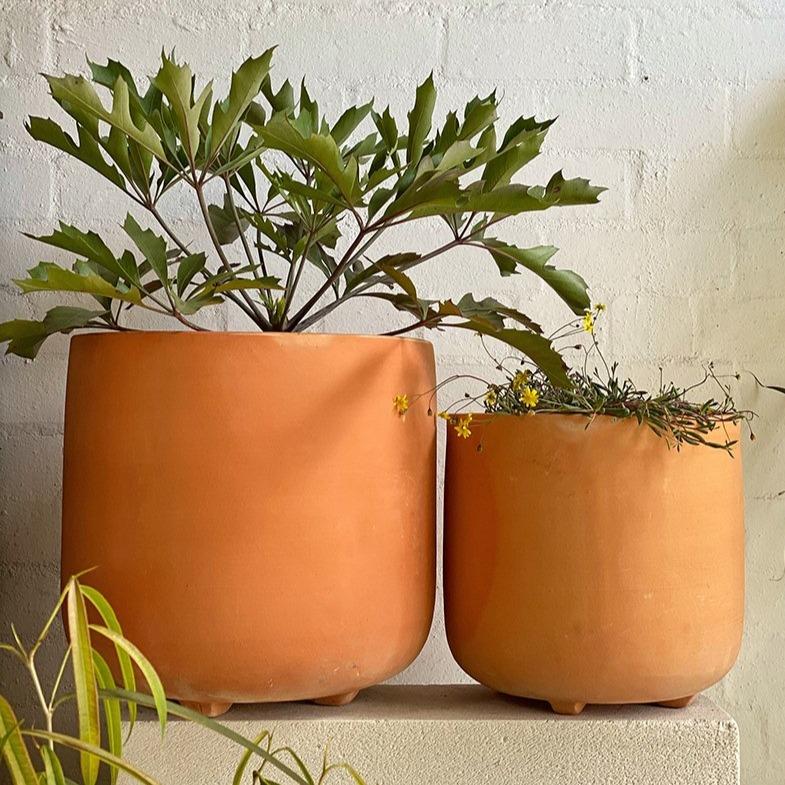 Calabria Planter | The Plant Society