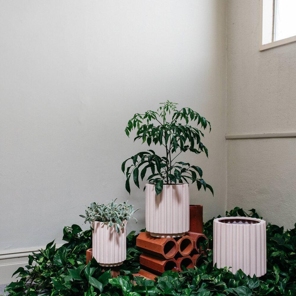 Large Flute Planter by The Plant Society x Capra Designs - Totem ...