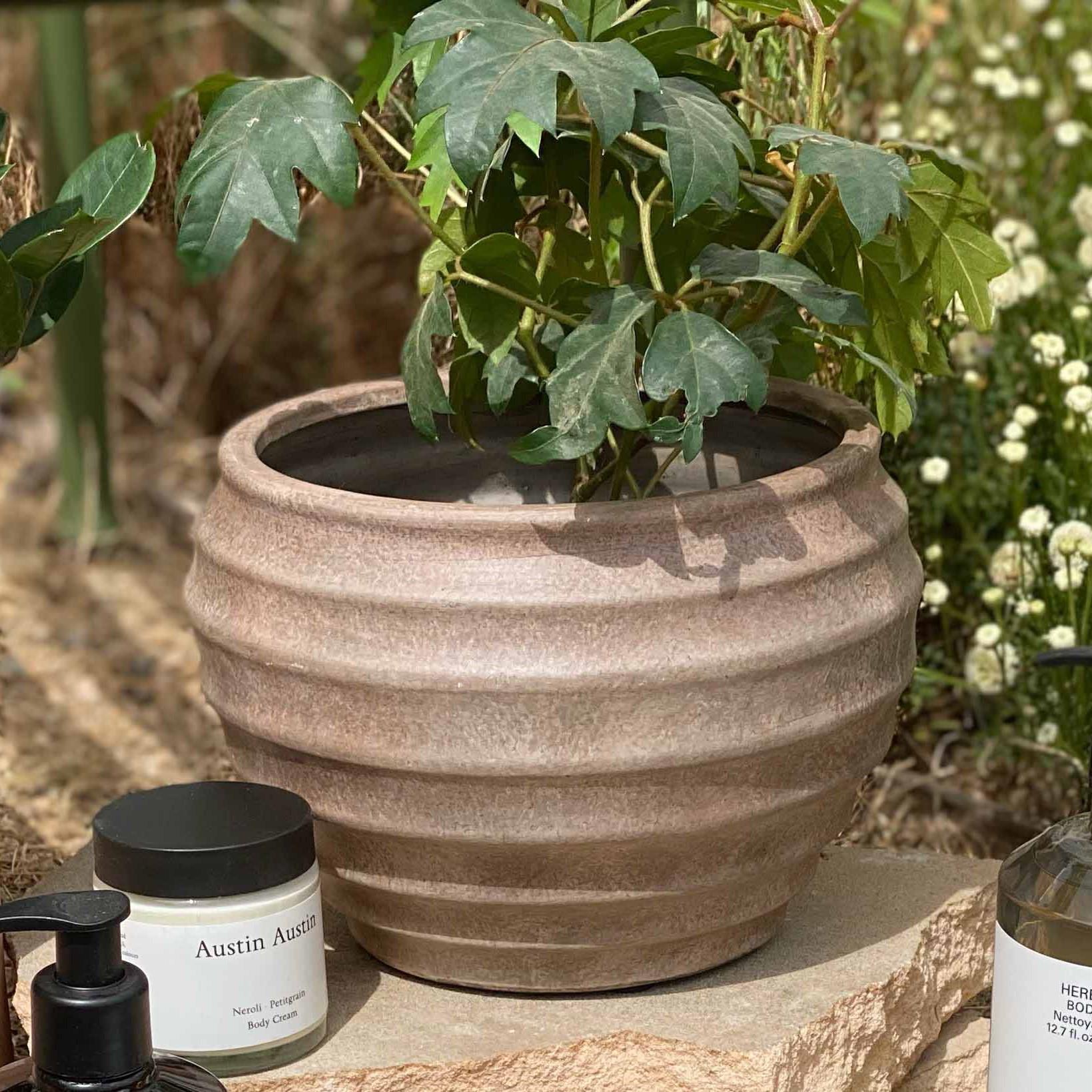 Roha Deco Flowerpot – THE PLANT SOCIETY